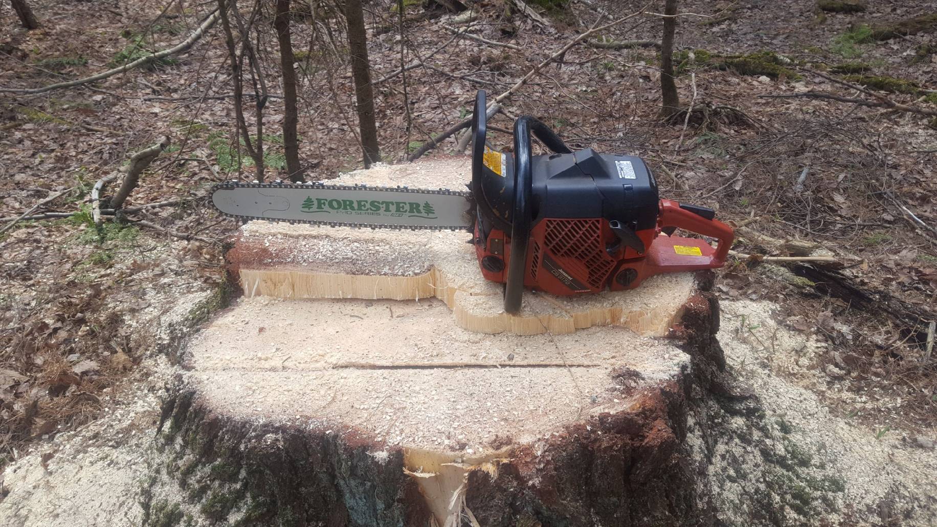 Northern Timber Custom Sawing – Portable sawmill logs to lumber ...